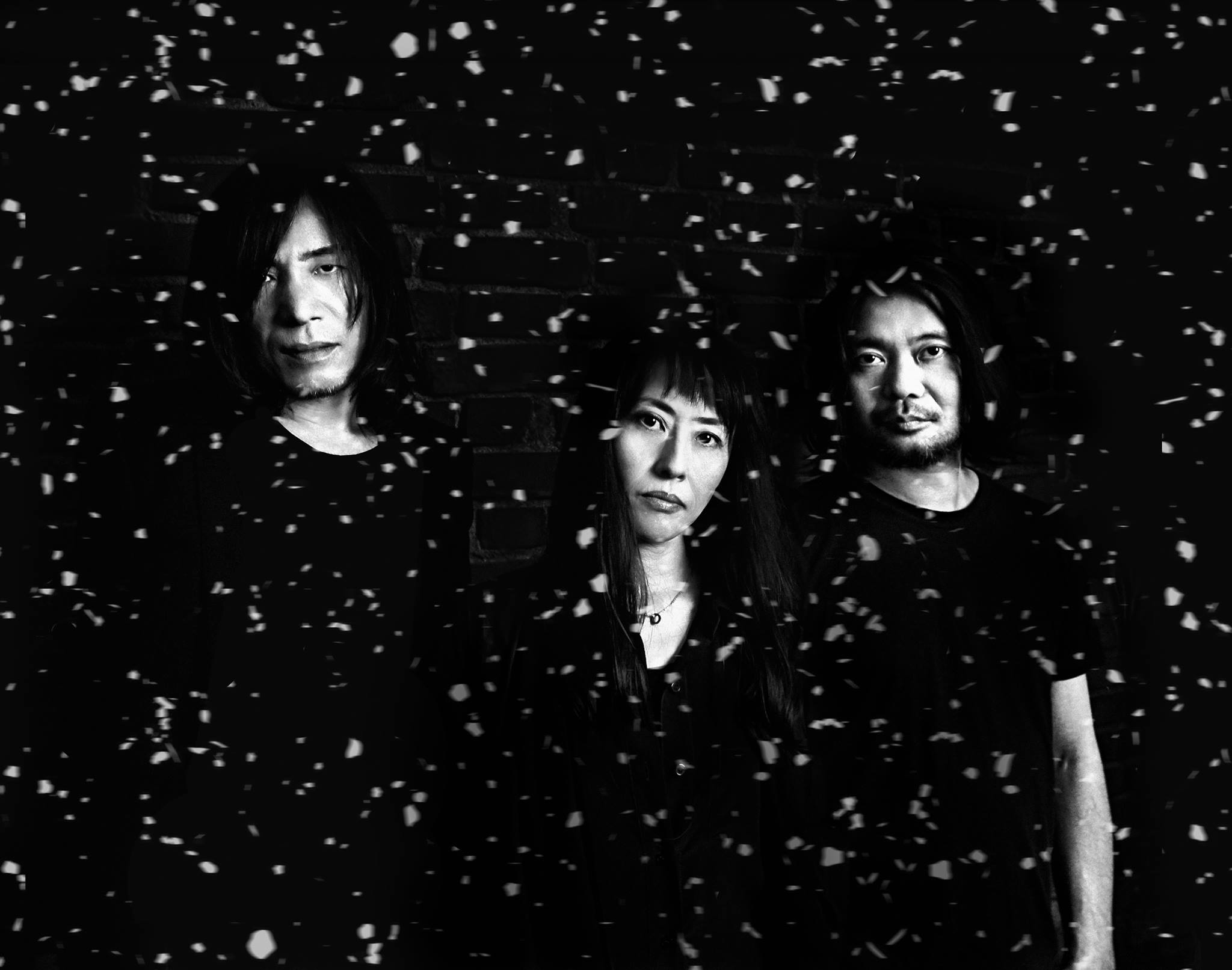 News | MONO annonce l'arrivée de son onzième album | VerdamMnis Magazine