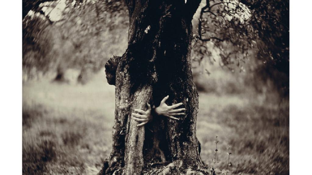 Chronique | Fragile Figures - ANEMOIA | VerdamMnis Magazine